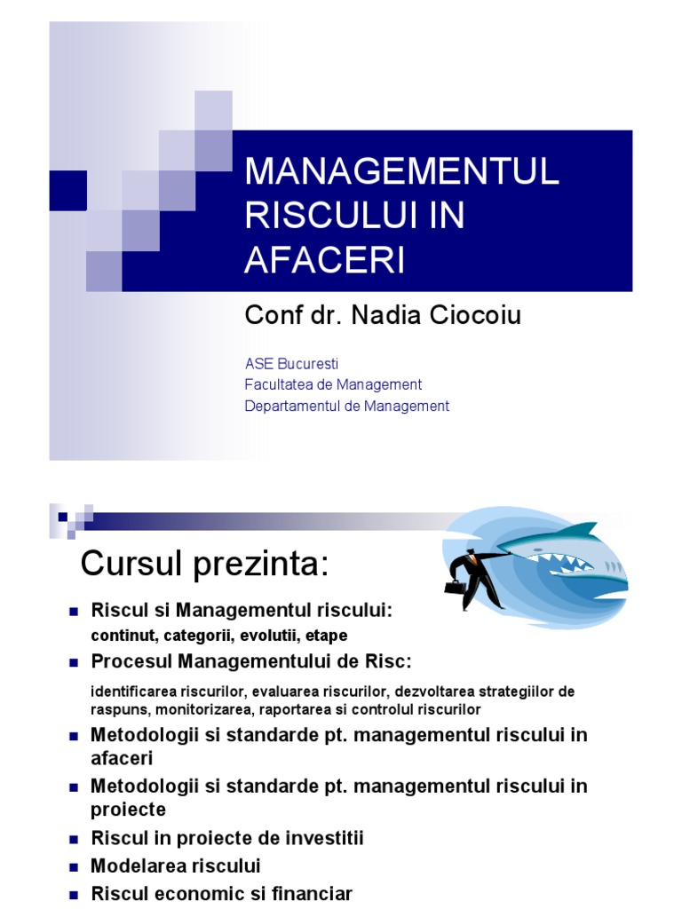 Managementul Riscului in Afaceri | PDF