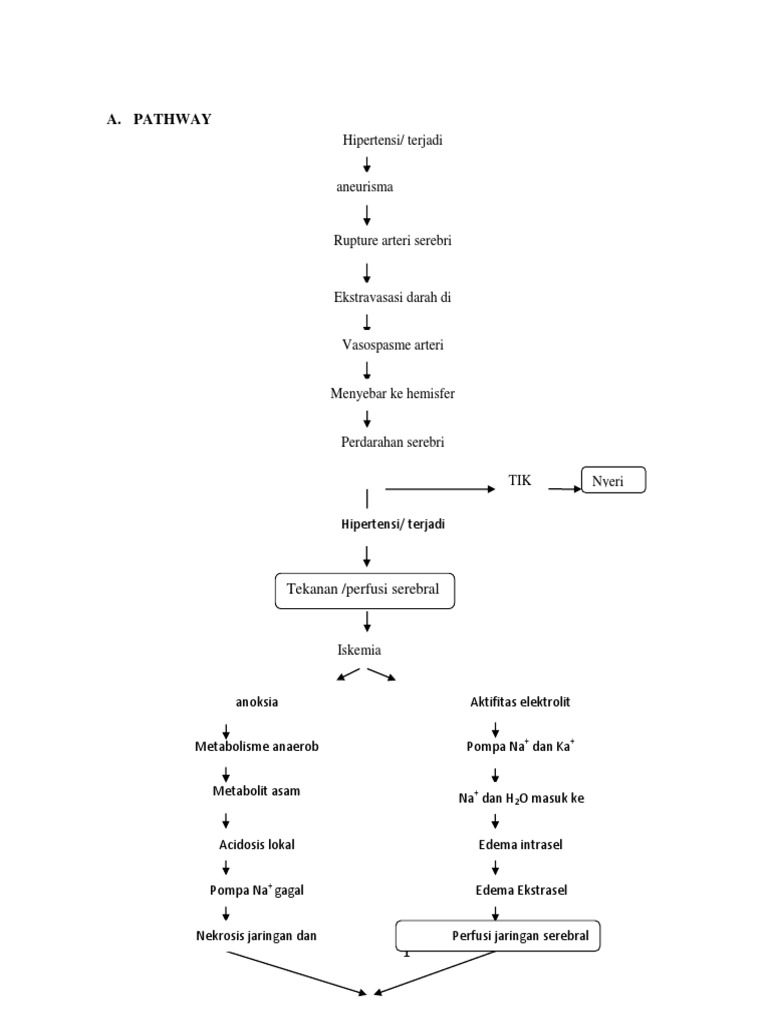 PATHWAY Stroke Hemoragik | PDF