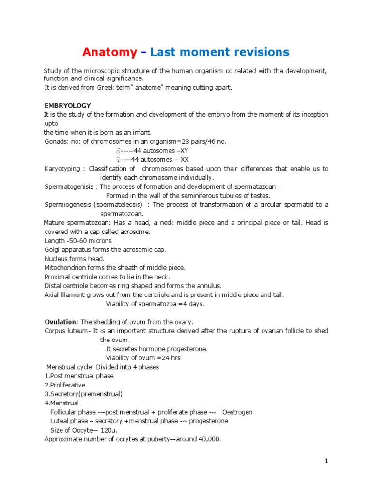 Anatomy Last Moment Revisions | PDF | Vertebral Column | Cerebrospinal ...