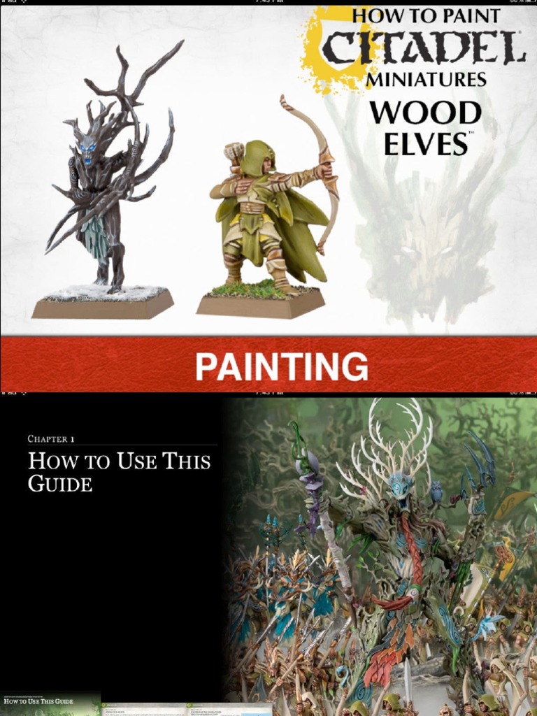 HTP - Wood Elves | PDF | Fantasy | Campaign Settings