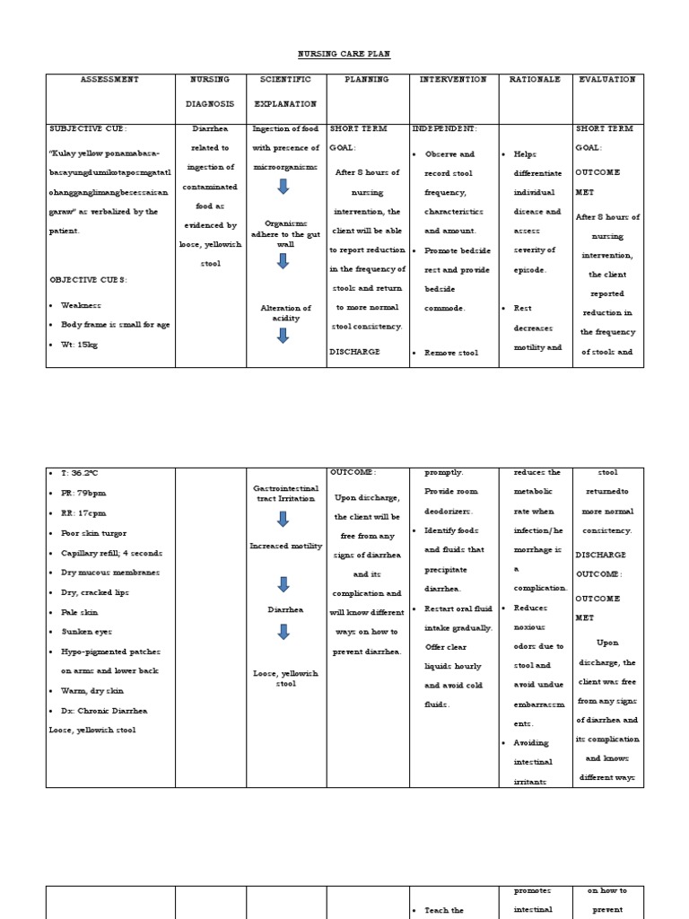 NCP Diarrhea | PDF | Diarrhea | Human Feces