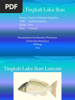 Morfologi Dan Anatomi Kepiting | PDF