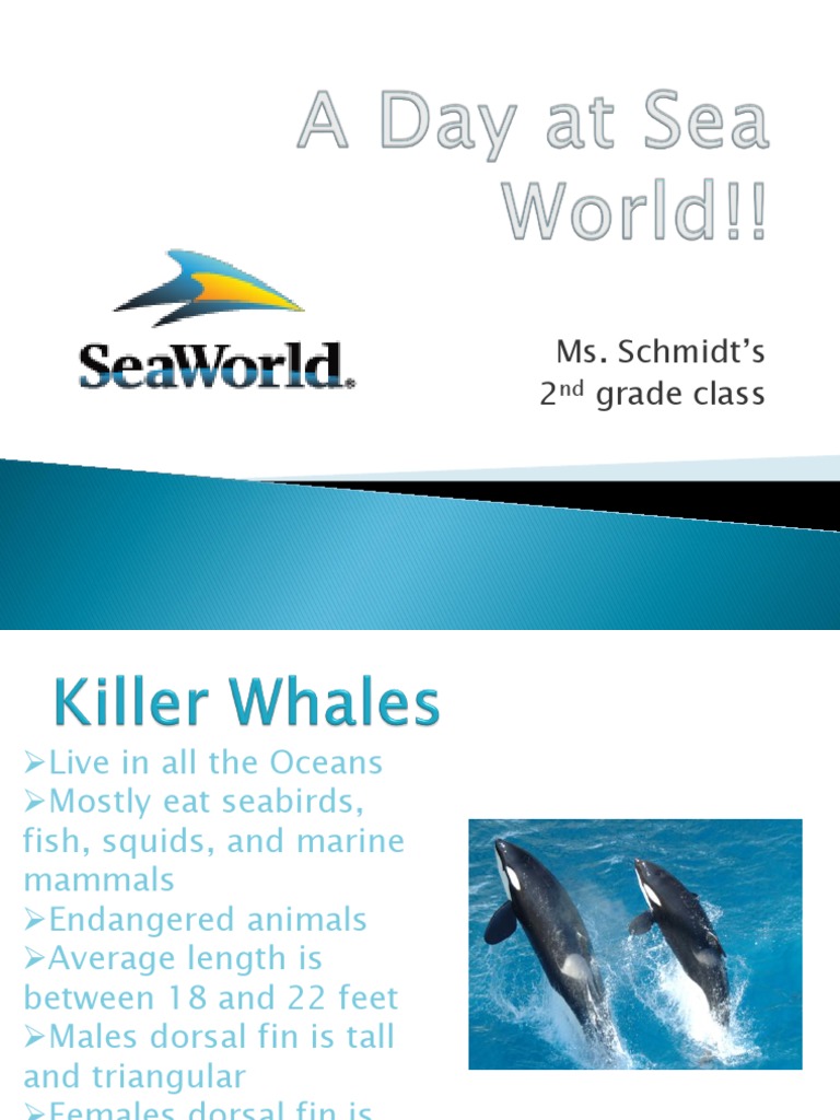 Edu 276 Digital Field Trip | PDF | Social Science | Home & Garden