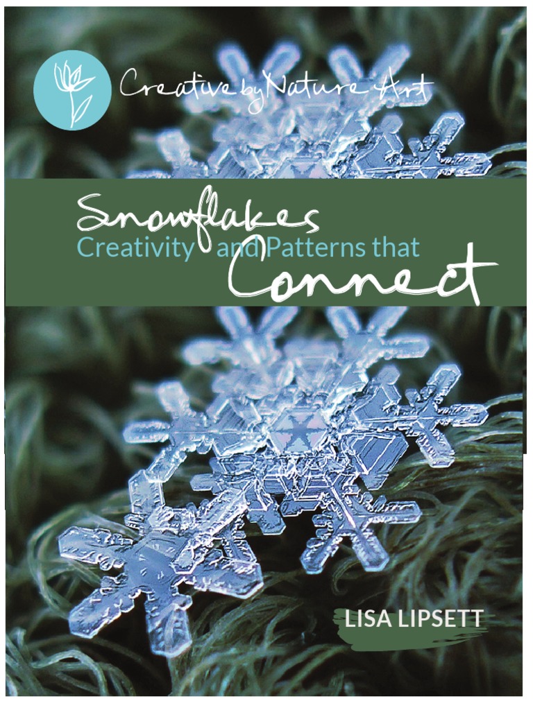 Snowflakes, Creativity and Patterns That Connect | PDF | Pattern | Fractal