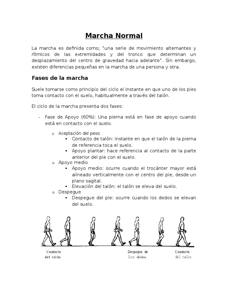 Marcha Normal | PDF | Pie | Rodilla