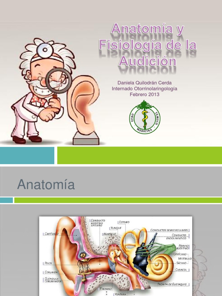 Fisiología De La Audición. _ Anatomia Del Oído Humano Pdf – YSHTE