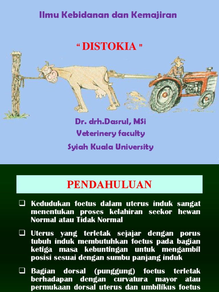 Kebidanan - DISTOKIA Pada Sapi | PDF