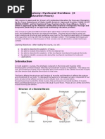 Myofascial Meridian Overview | PDF | Myofascial Trigger Point ...