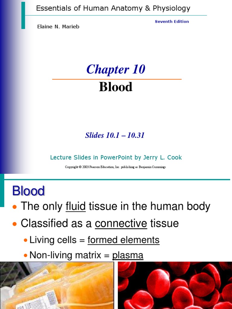 Blood Composition Powerpoint | PDF | White Blood Cell | Granulocyte