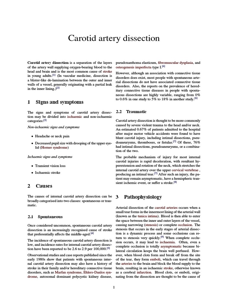 Carotid Artery Dissection | PDF | Angiology | Clinical Medicine