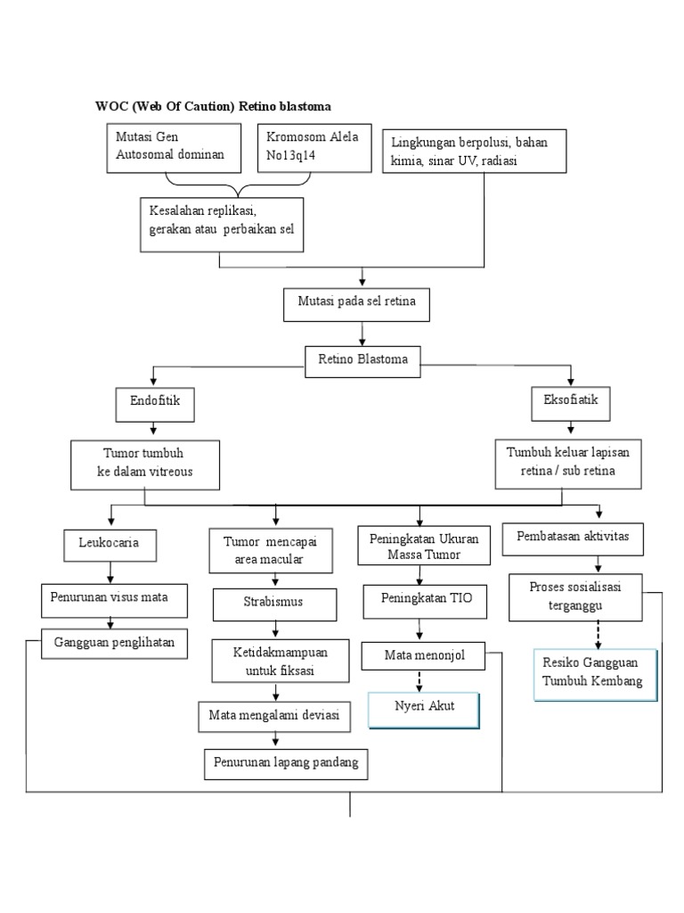 WOC Retinoblastoma Kel. 3 Revisian | PDF