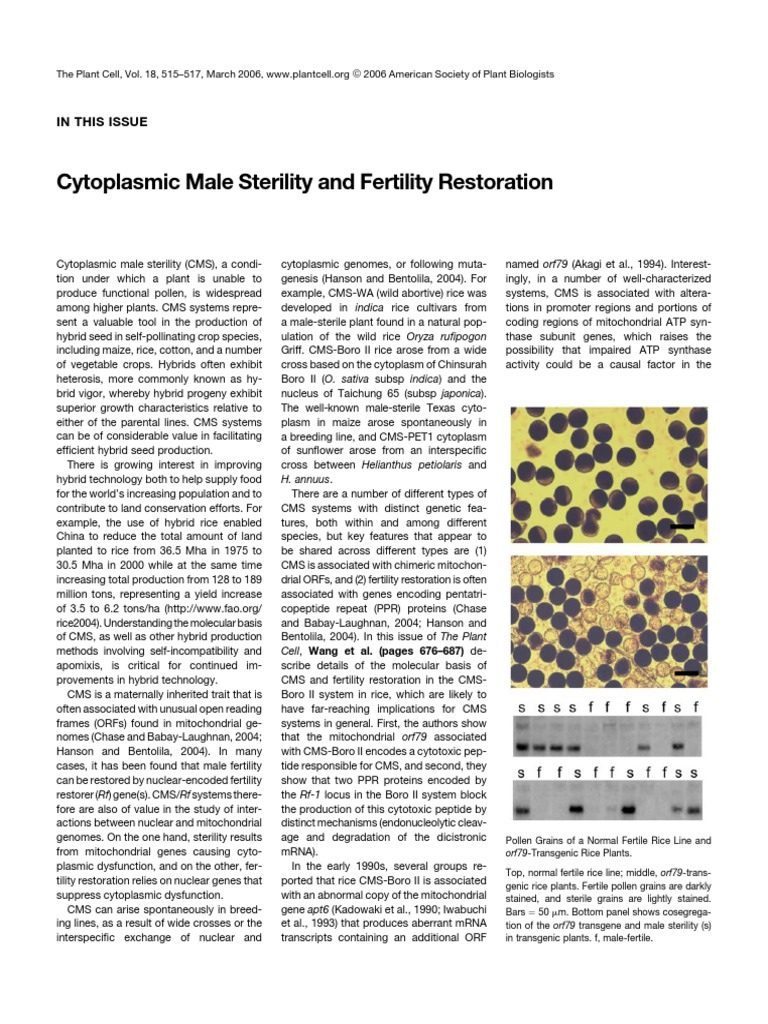 Cytoplasmic Male Sterility and Fertility Restoration: in This Issue ...