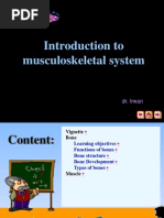 The Skeletal System - Skeleton - Living Organisms - KS3 Biology - BBC ...