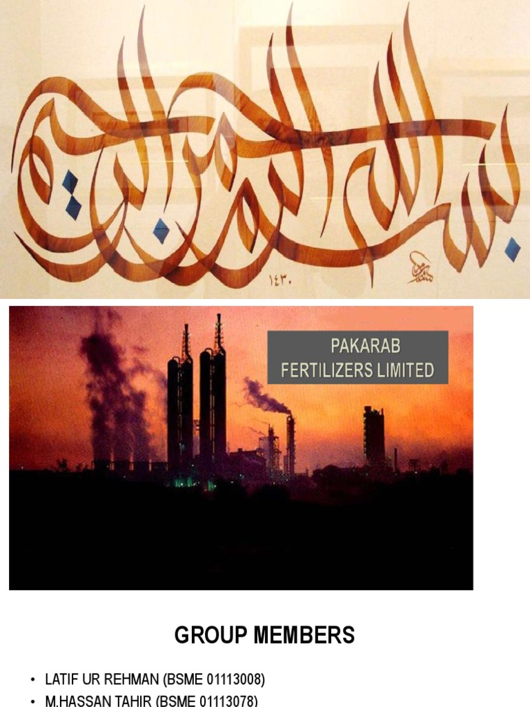 Pakarab Fertilizers Limited | PDF | Fertilizer | Ammonia