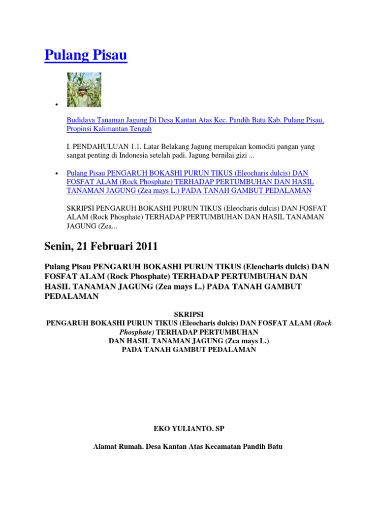 Purun Tikus | PDF | Teknologi & Rekayasa