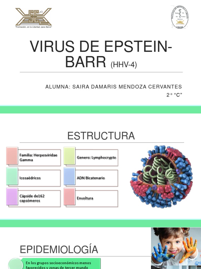 Virus de Epstein-barr (Hhv-4)