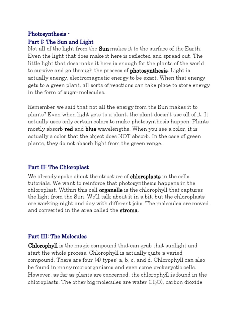 Photosynthesis - Part I: The Sun and Light | PDF | Photosynthesis ...
