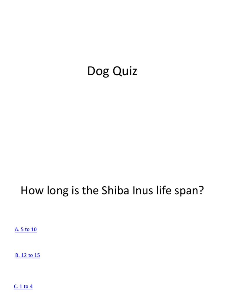 Dog Quis Bryce | PDF