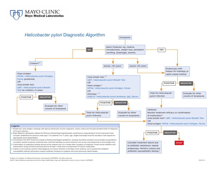 Helicobacter - Pylori - Schema de Diagnostic | PDF | Indigestion ...