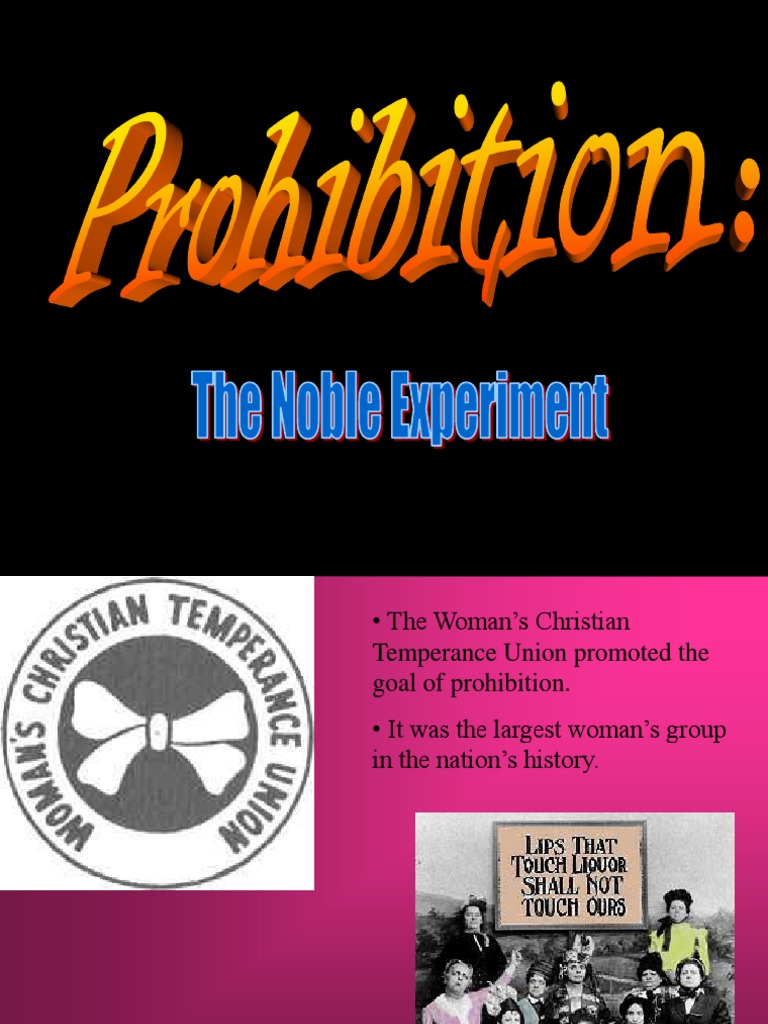 Prohibition | PDF | Social Science | History