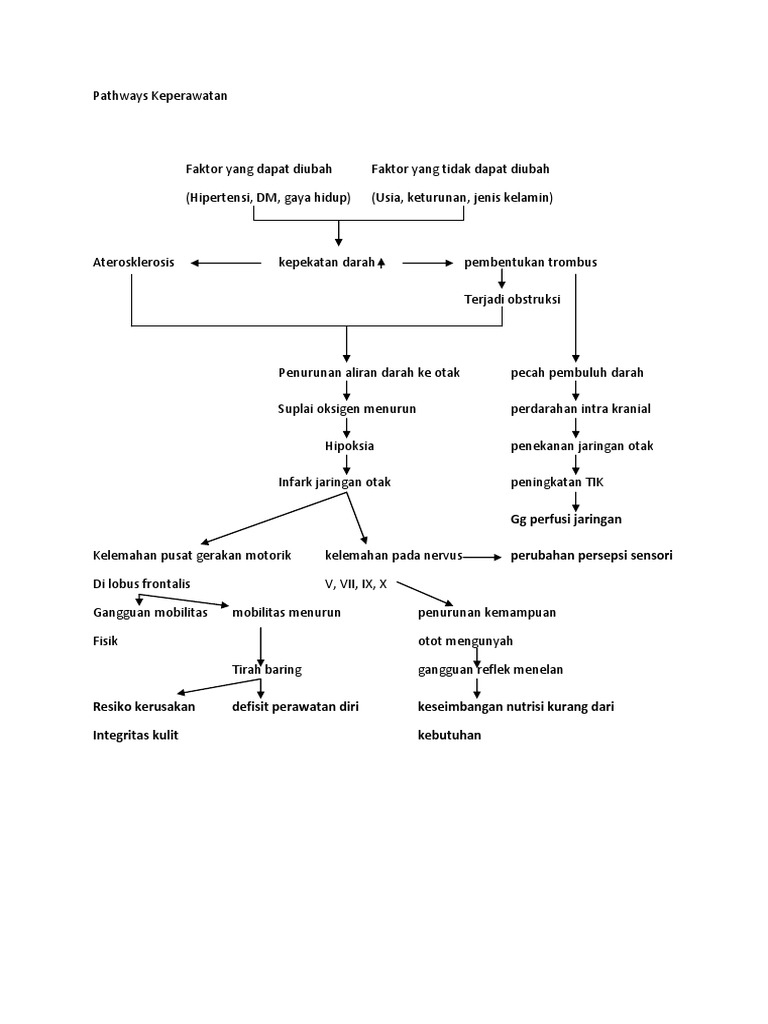 Pathways SNH Fix | PDF | Kesehatan Holistik