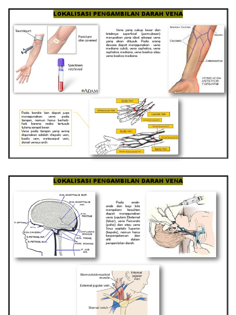 Lokalisasi Pengambilan Darah Vena | PDF
