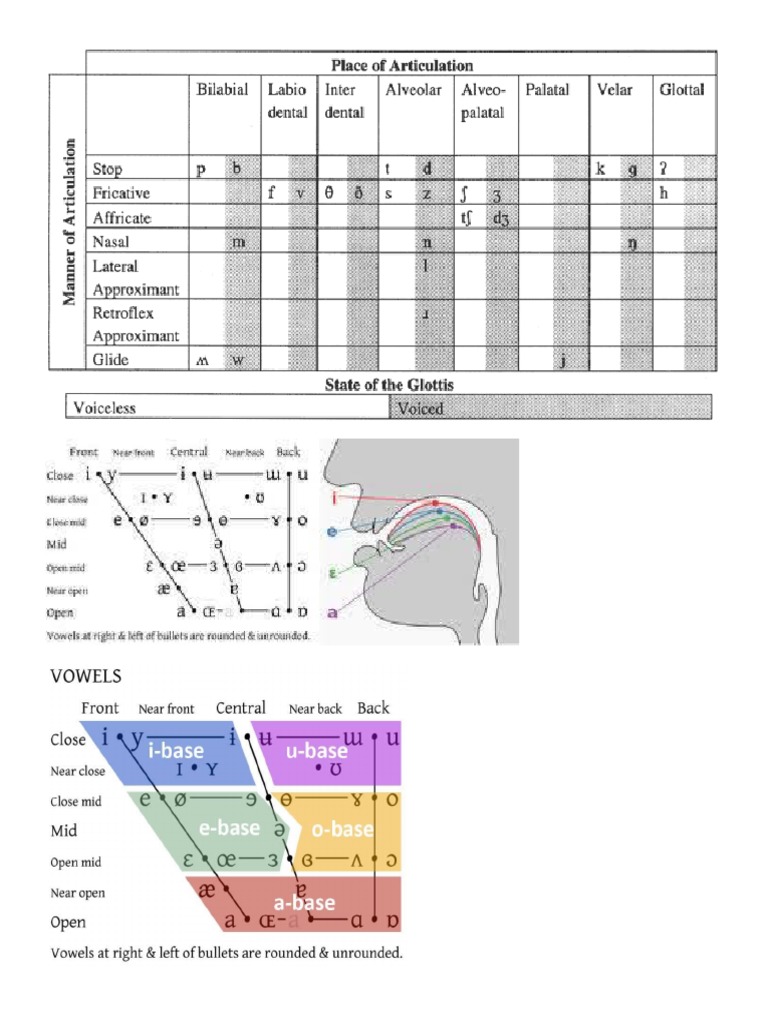IPA Chart and Places of Articulation | PDF