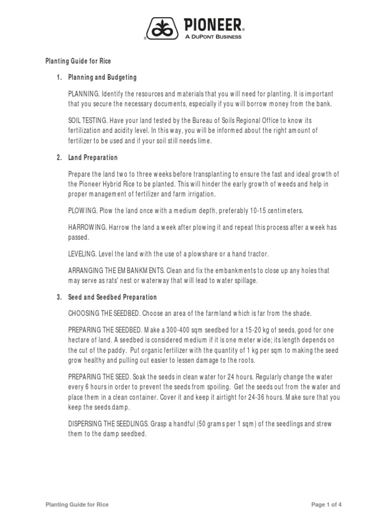 Comprehensive Rice Planting Guide | PDF | Rice | Sowing