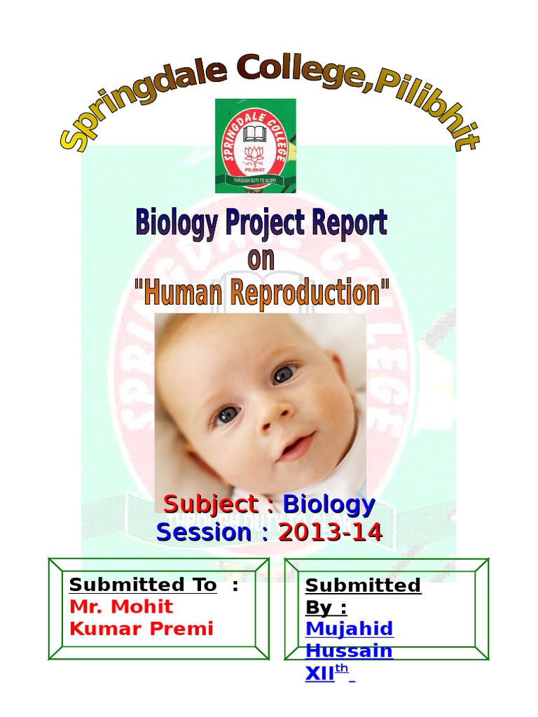 Human Reproduction | PDF | Biological Interactions | Anatomy