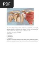 Sitting Balance Scale | PDF | Anatomical Terms Of Motion | Shoulder