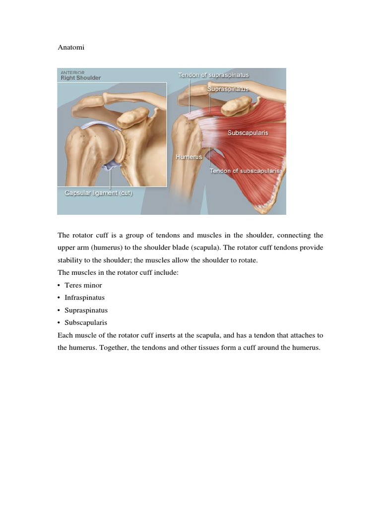 Rotator Cuff Syndrome | PDF