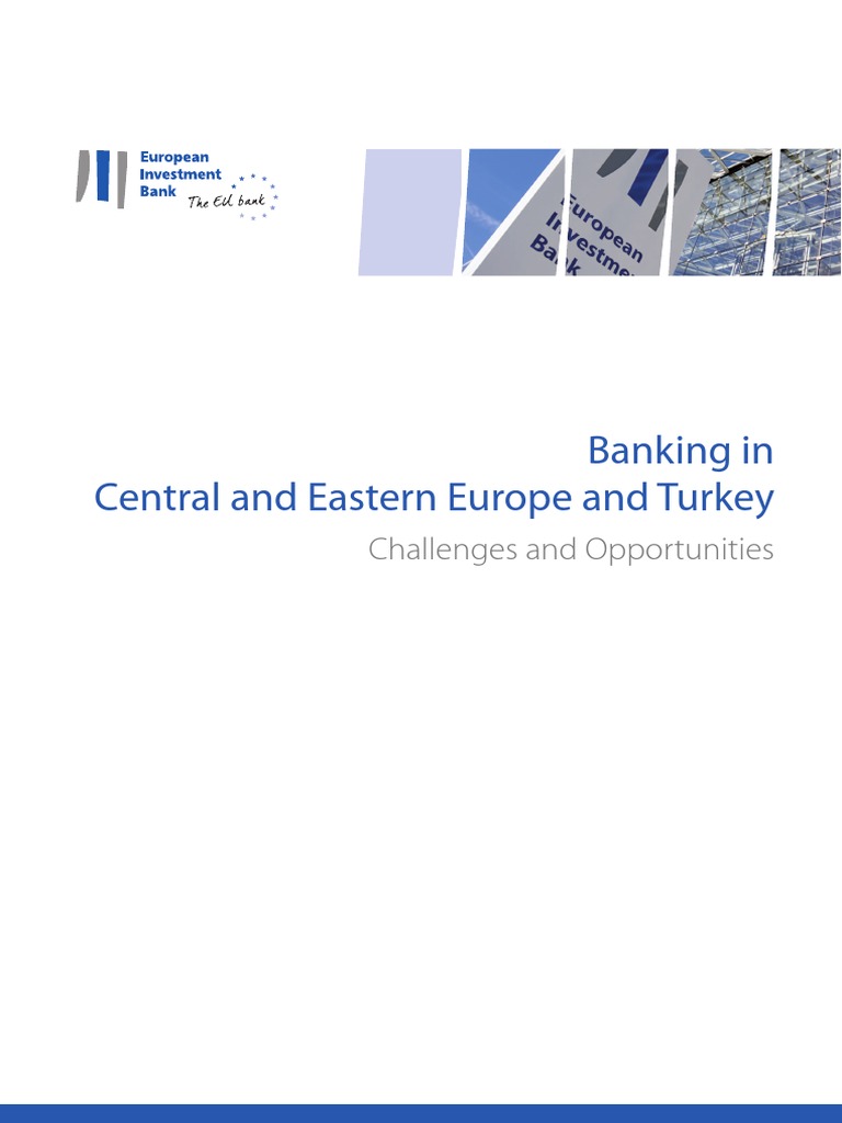 Economic Report Banking Cee Turkey en | PDF | Financial Crisis Of 2007 ...