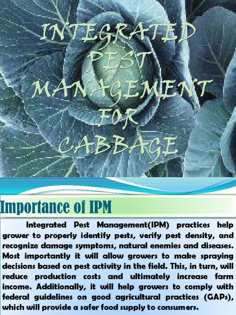 IPM IN CABBage | PDF | Pupa | Insecticide