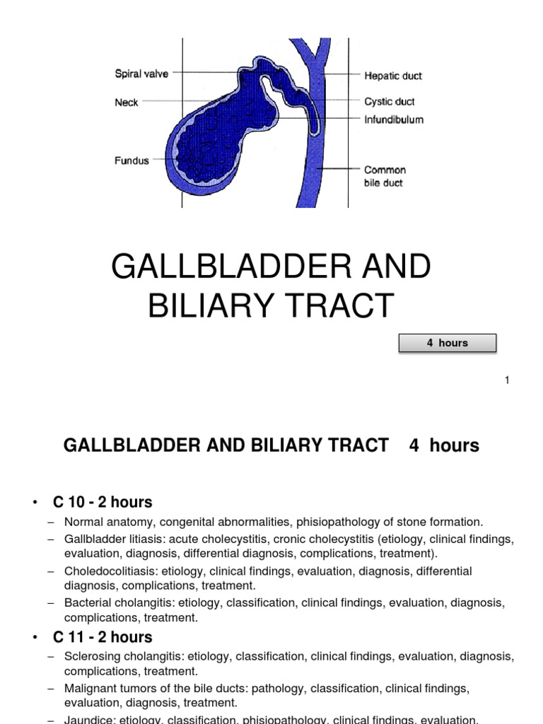 Gallbladder and Biliary Tract Overview | PDF | Gallbladder | Bile