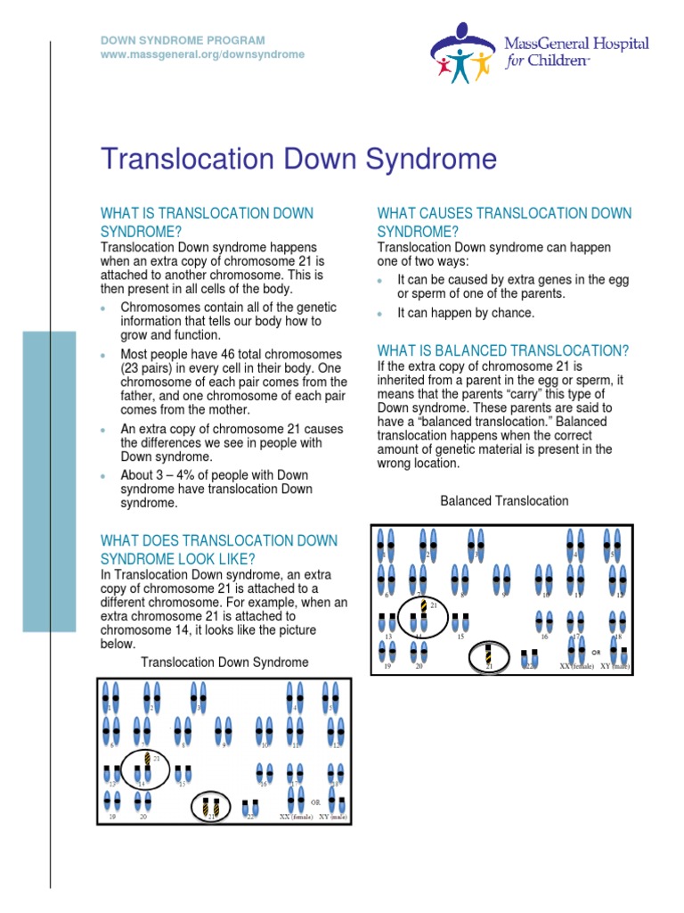 Down Syndrome Translocation | PDF | Down Syndrome | Chromosome