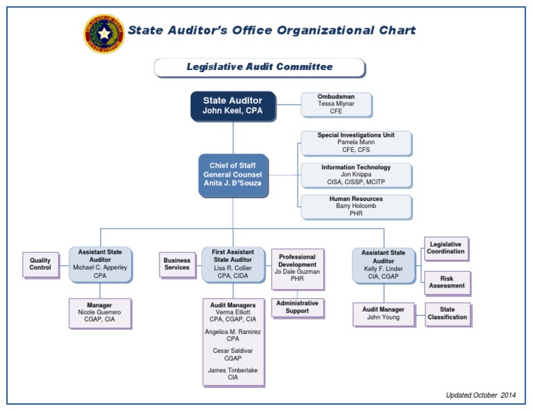Texas State Auditor's Office Org Chart | PDF | Risk | Risk Management