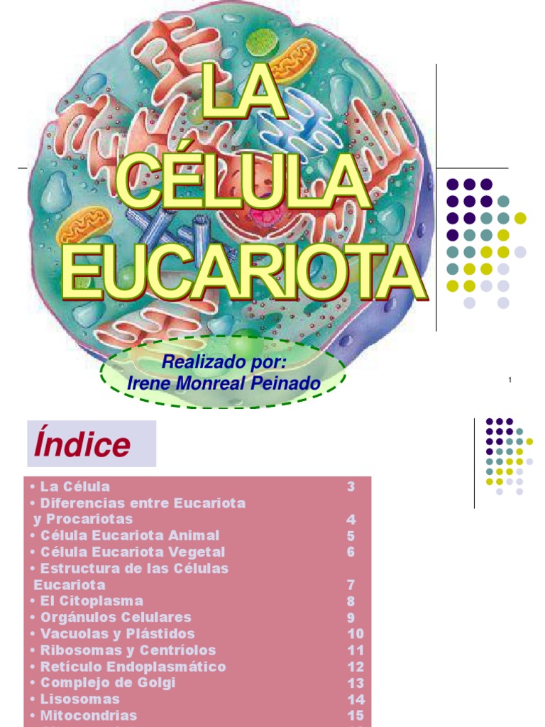 La célula eucariota.ppt