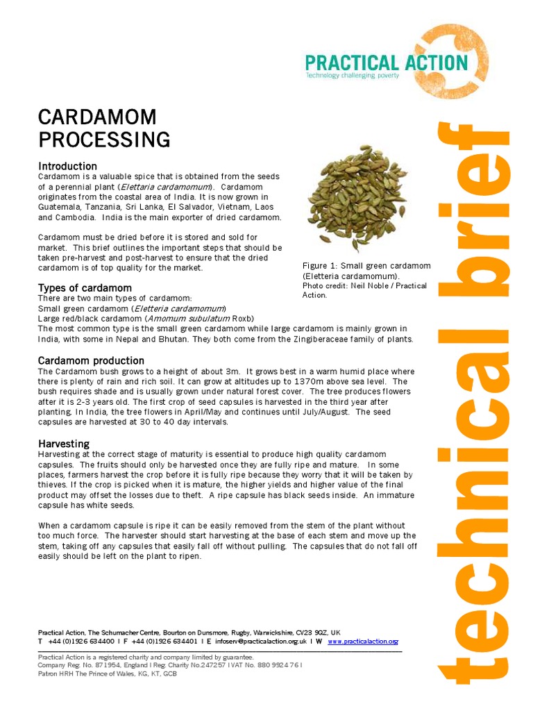 Cardamon Processing | PDF | Clothes Dryer | Gasification