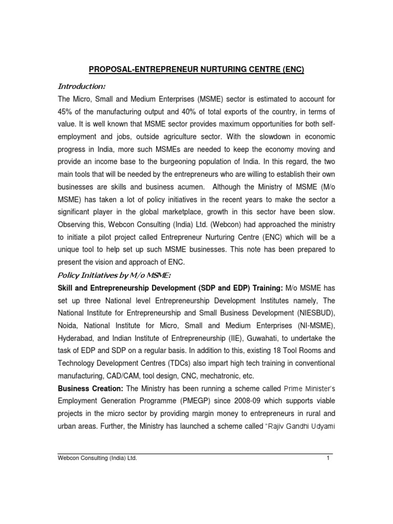 MSME Proposal Ver 1 | PDF | Entrepreneurship | Business