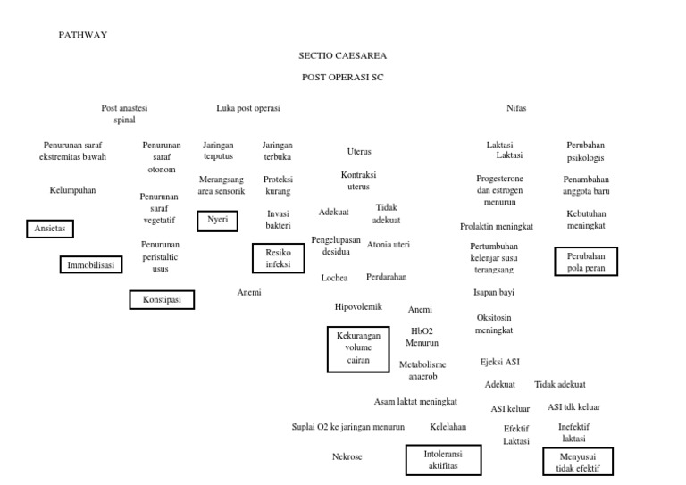 Pathway Post SC | PDF