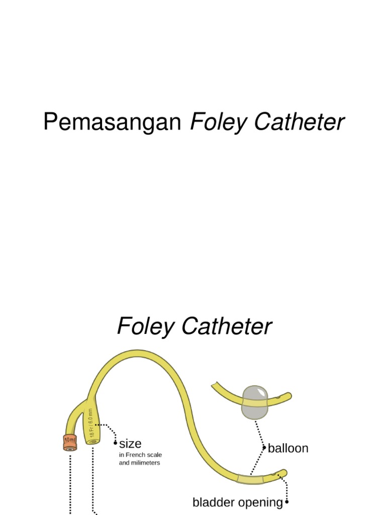 Panduan Pemasangan Kateter Foley | PDF | Sains & Matematika
