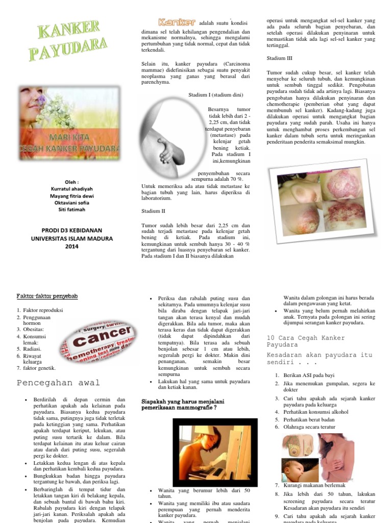 Leaflet Kanker Payudara PDF | PDF