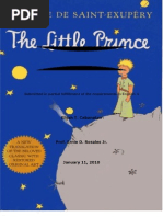 The Little Prince: Chapter Study Questions | PDF | The Little Prince