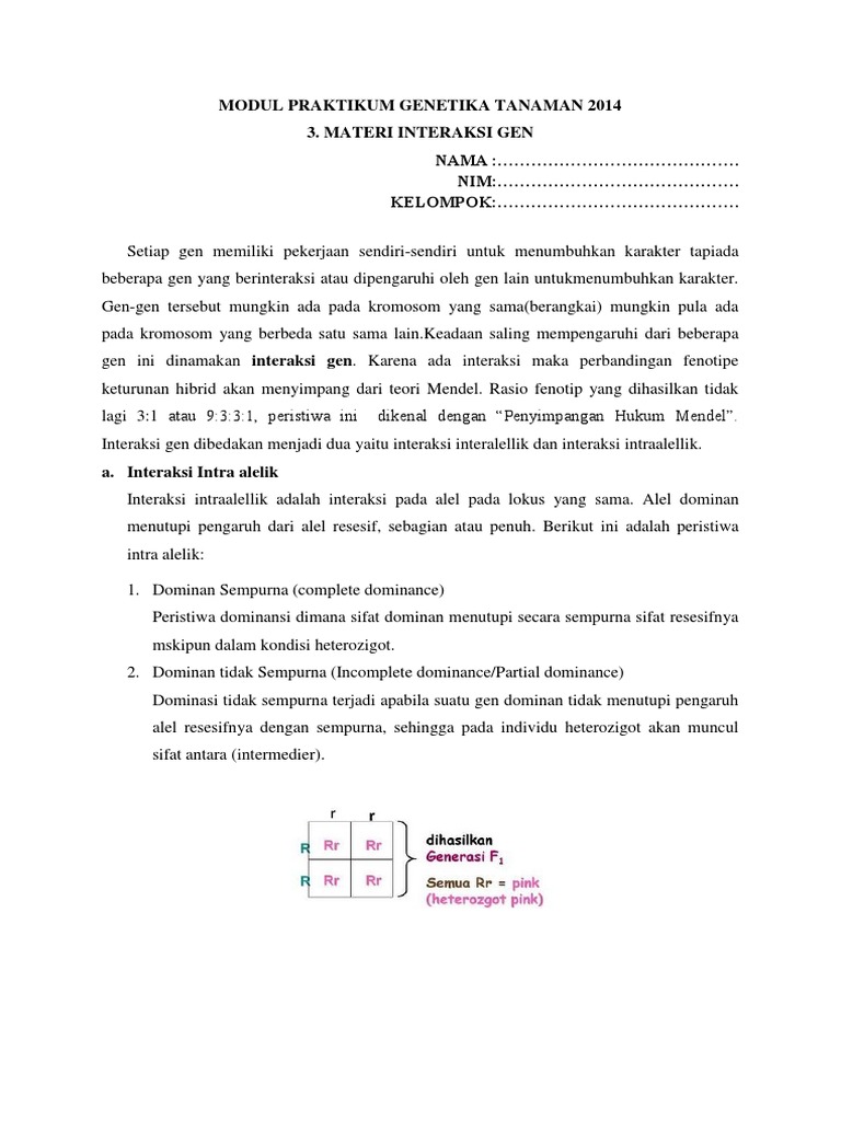 Bab 3 Modul Genetika-Interaksi Gen | PDF | Kesehatan Holistik | Sains ...