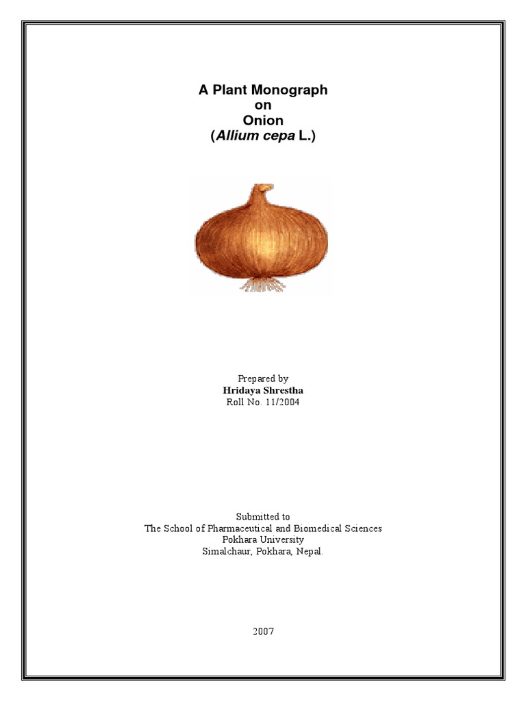 Allium Cepa | PDF | Plant Stem | Onion