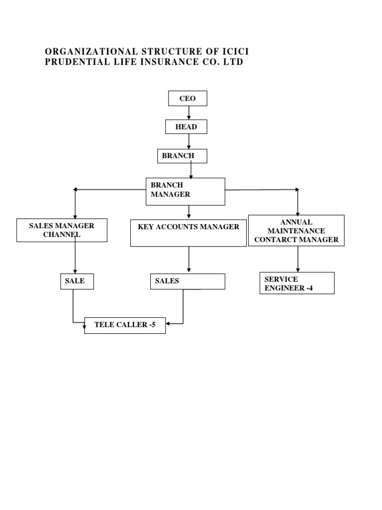 Organizational Structure of Icici Prudential Life Insurance Co | PDF ...