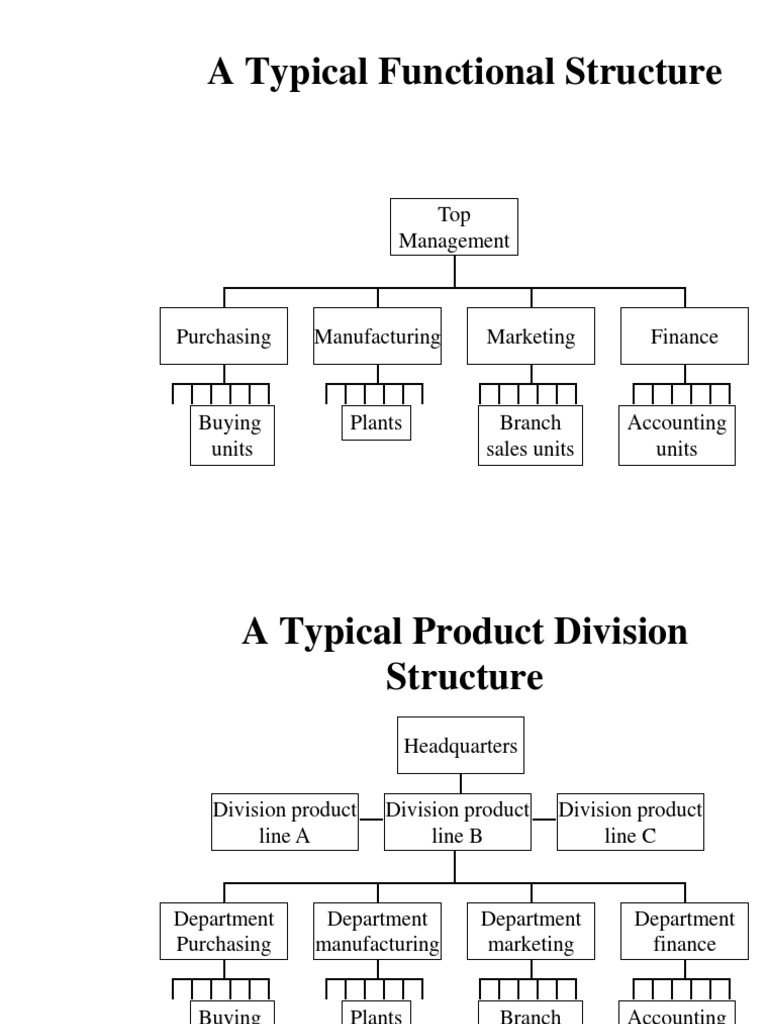 MNC Organization Structure | PDF
