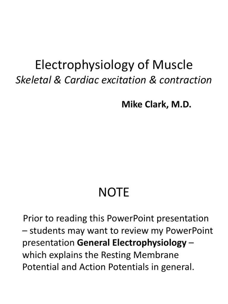 Electrophysiology of Muscle | PDF | Muscle Contraction | Depolarization