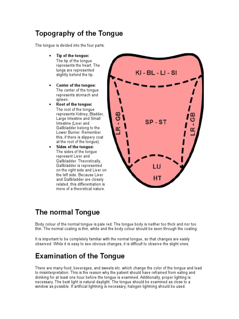 Topography of The Tongue | PDF | Gallbladder | Color