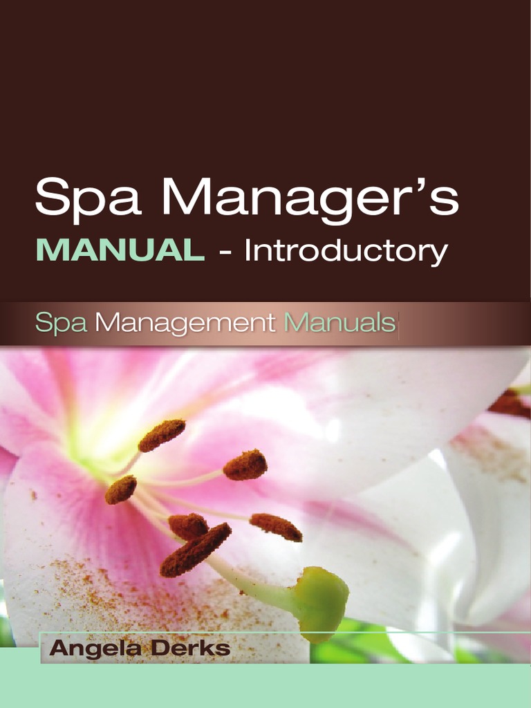 Spa Manager Decision Guide | PDF | Brainstorming | Decision Making